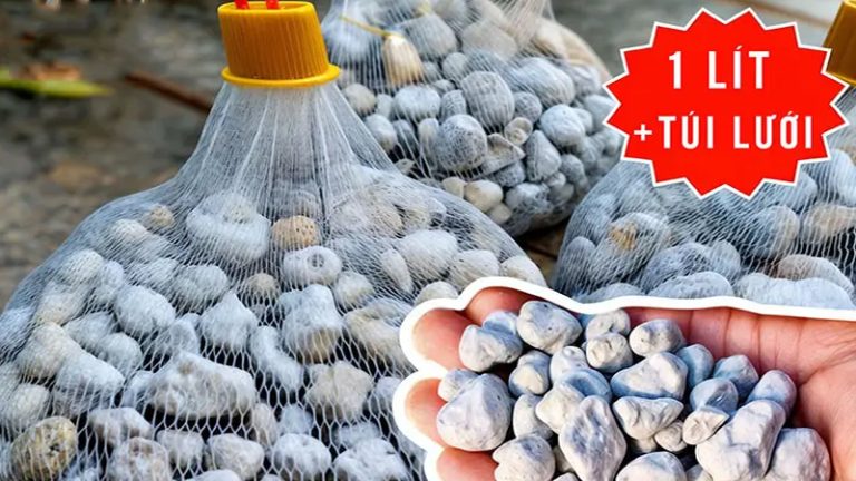 Đá matrix là gì? Thông tin về vật liệu lọc matrix nên biết